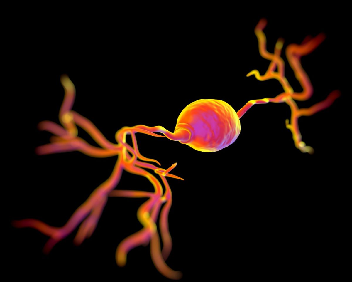 Multiple Sclerosis Patients Could One Day Benefit From Brain Boost Study