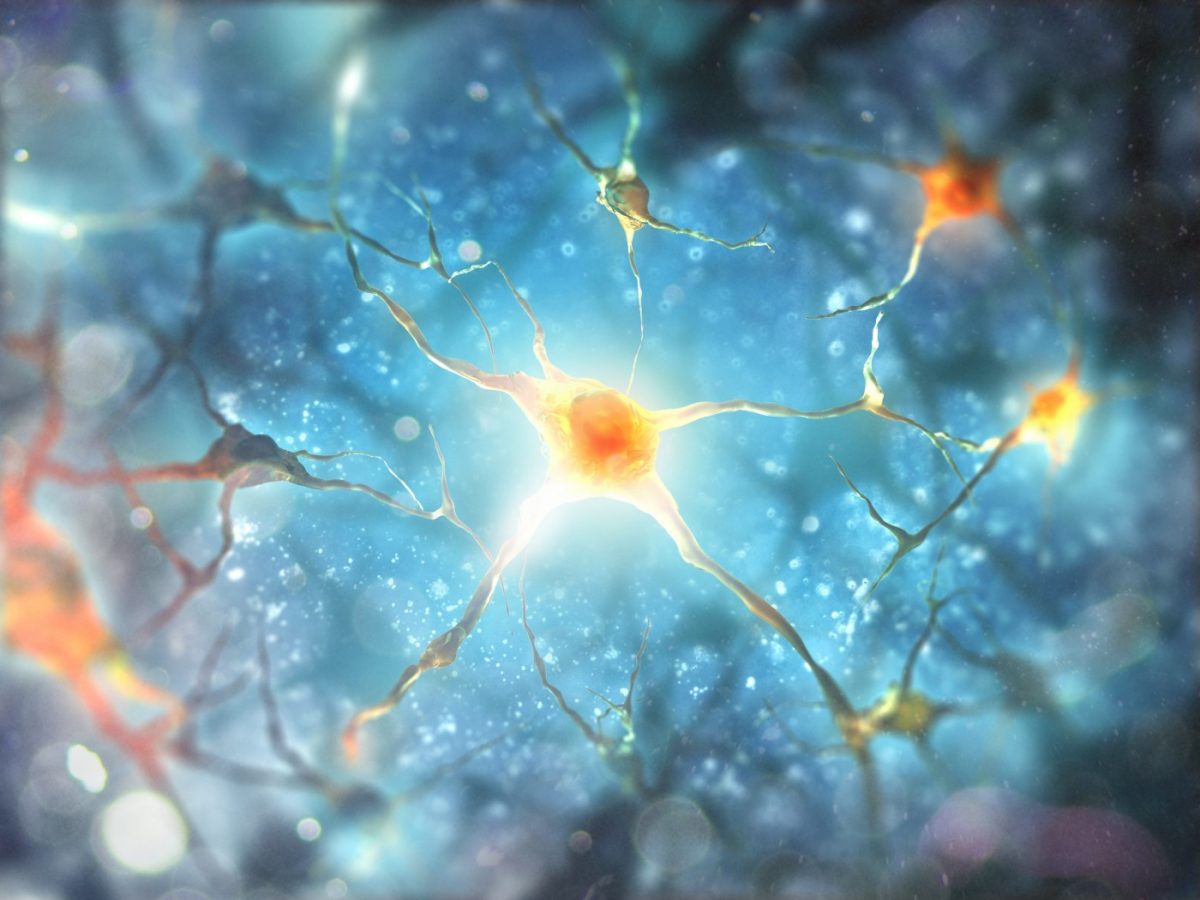 MS Nerve Degeneration Triggered by Chain Reaction in Cells | Multiple ...