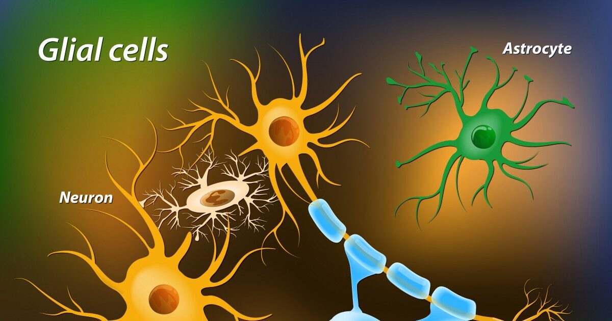 Glial Cells Found to Play a Role in Pain Sensation in MS, Other Disorders
