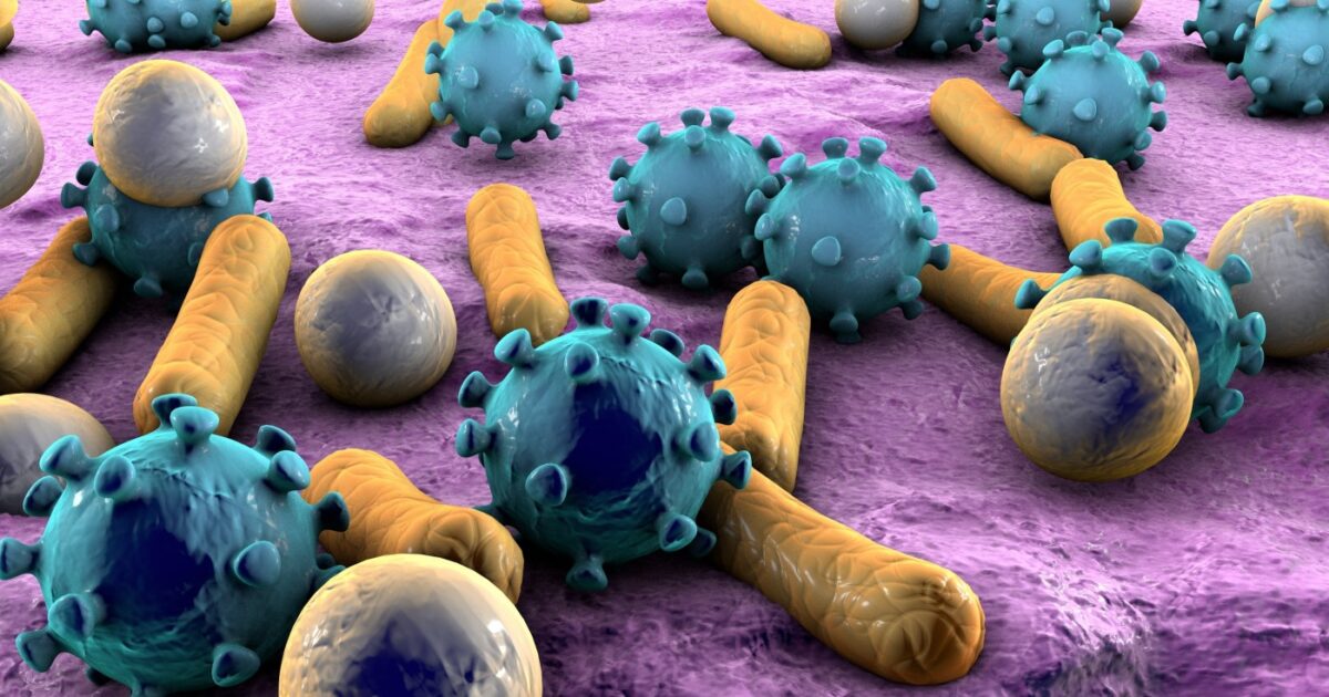 MS Antibodies Recognize Protein of Common Respiratory Tract Bacteria in ...