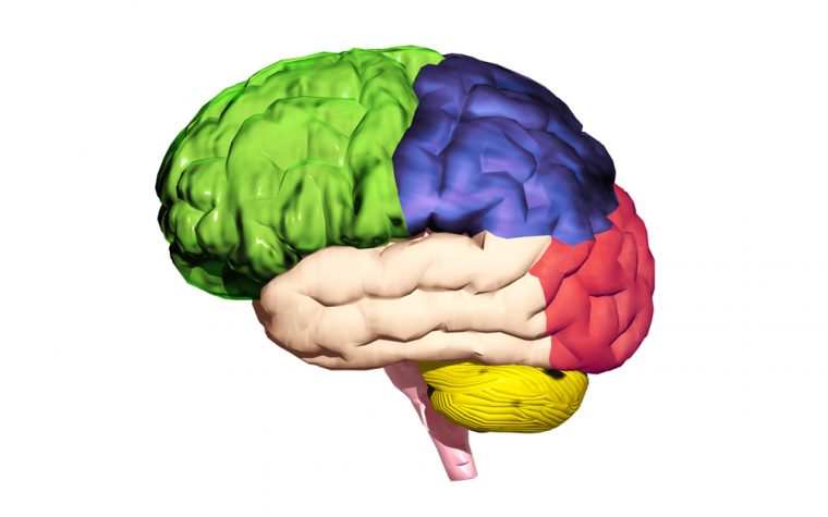 MS Patients with Brain or Spinal Nerve Pain Have High Levels of a ...