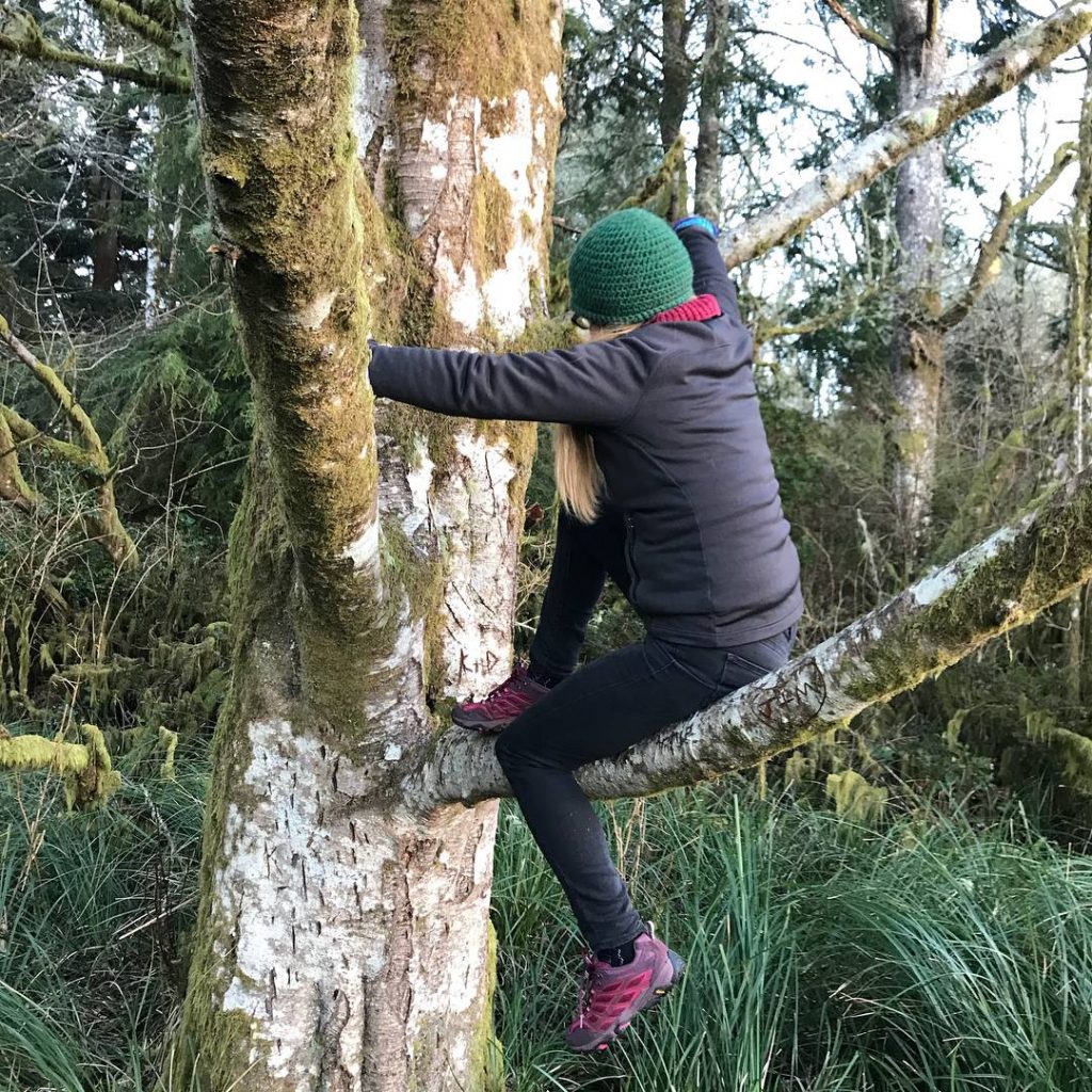 Measuring MS by Ability Rather than Disability: Climbing Trees