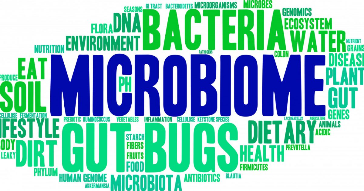 Mood Disorders in MS Tied to Poor Gut Microbiota and Impact Seen on ...