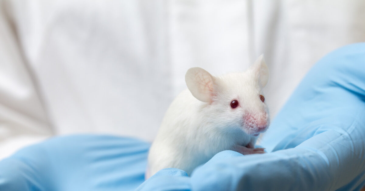 Rituximab May Prevent MS if Given at Earliest Disease Signs, Mice Study ...
